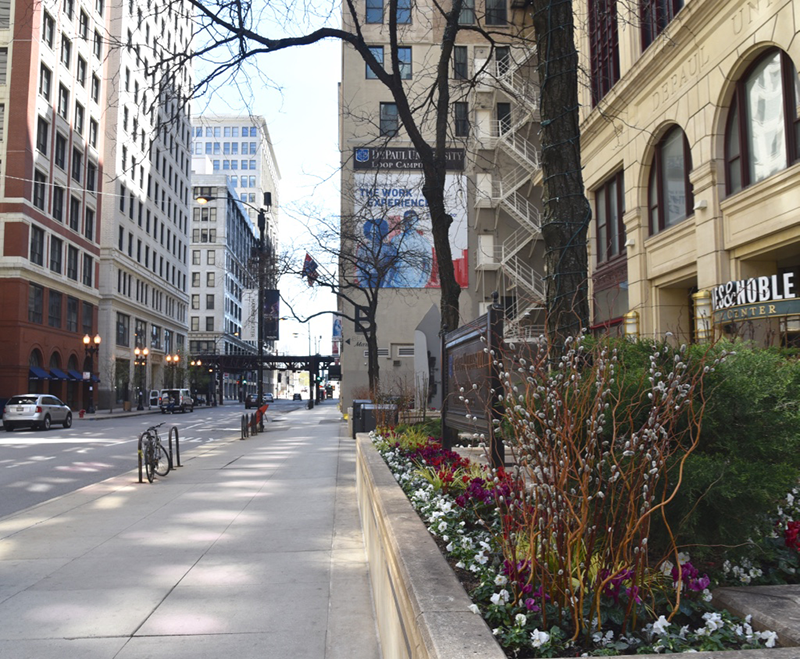 Spring Blooms in the Chicago Loop | News & Events | College of Business ...